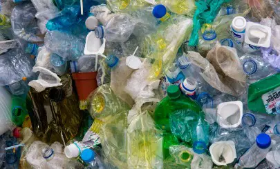 What can be kerbside recycled - Kāpiti Coast District Council