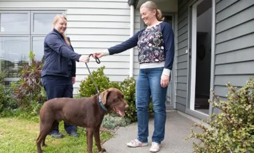 Lost and impounded animals - Kāpiti Coast District Council