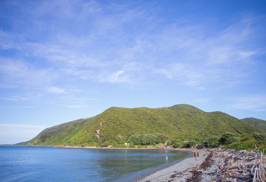 Kāpiti Island - Kāpiti Coast District Council