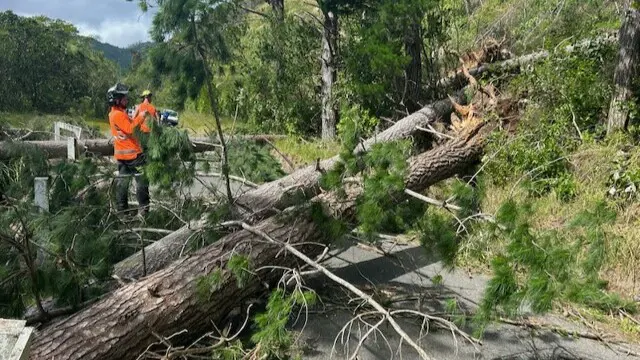 What's new - Everything Kāpiti – latest news, events and hot tips ...