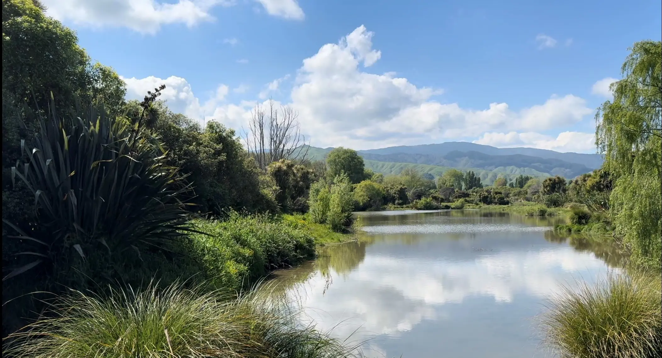 Tracks and trails - Kāpiti Coast District Council